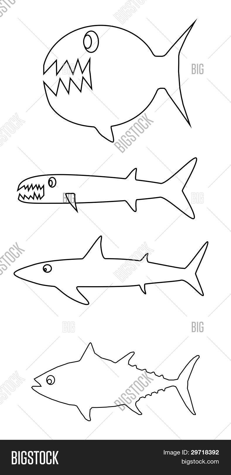 Fish Outlines Vector & Photo (Free Trial) | Bigstock