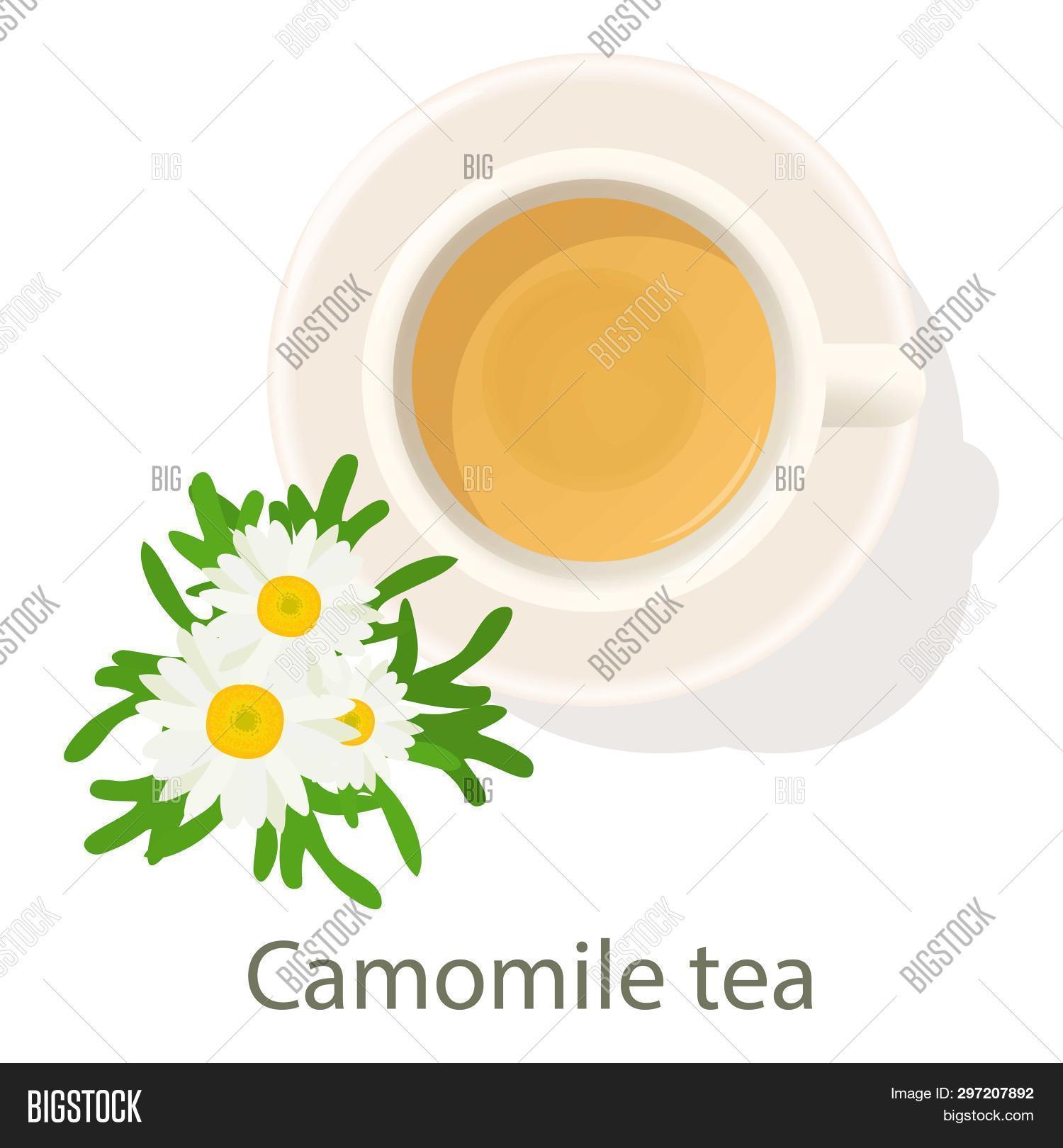 Chamomile Tea Icon. Image & Photo (Free Trial) | Bigstock
