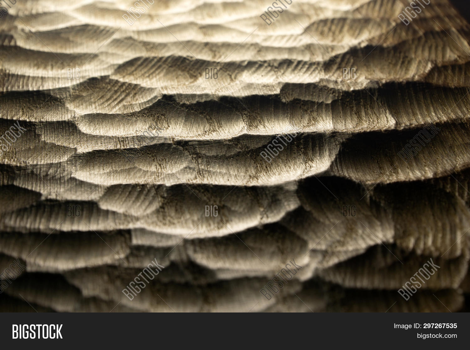 Carved Wood Waves Image & Photo (Free Trial) | Bigstock
