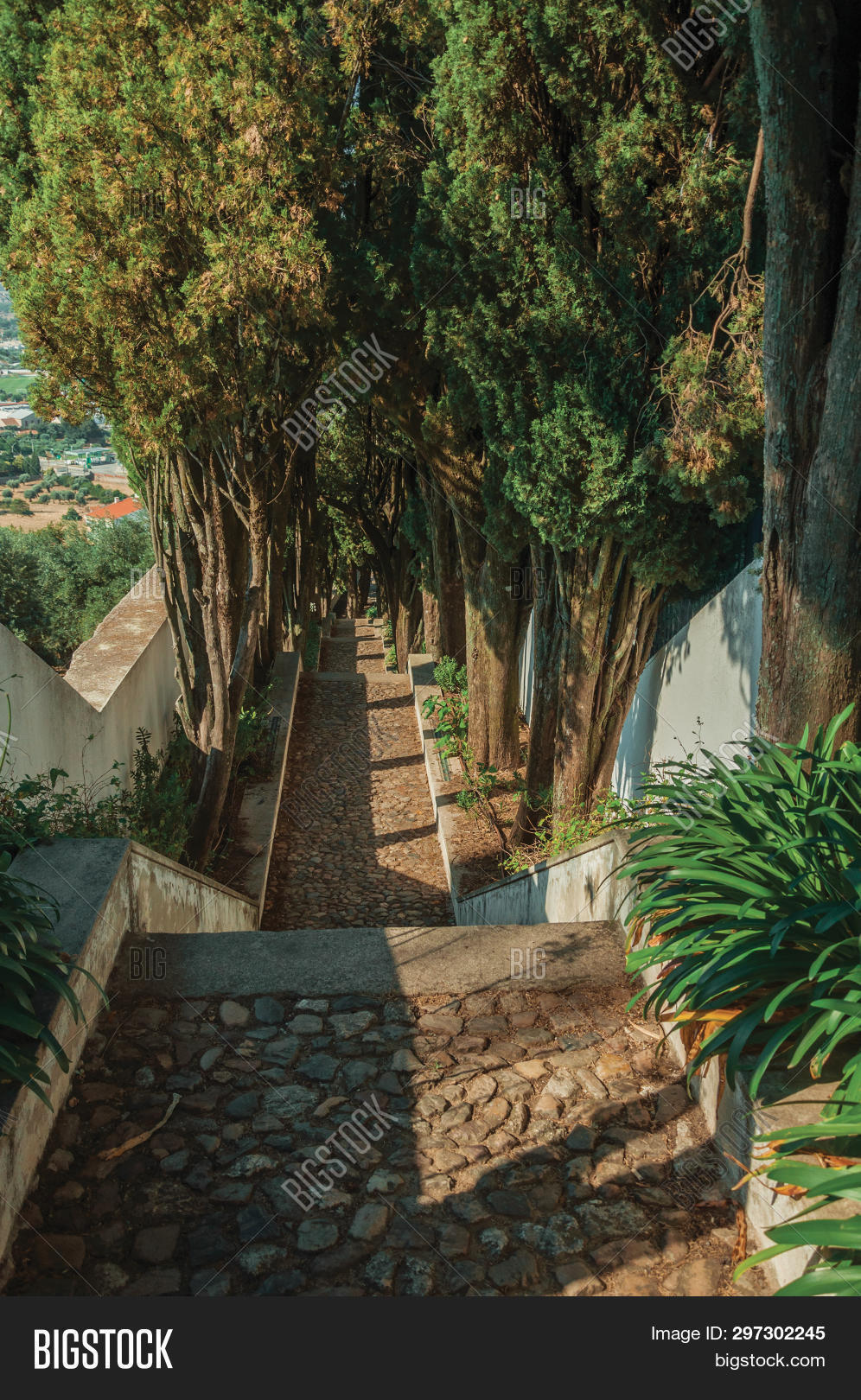 Cobblestone Pathway Image & Photo (Free Trial) | Bigstock