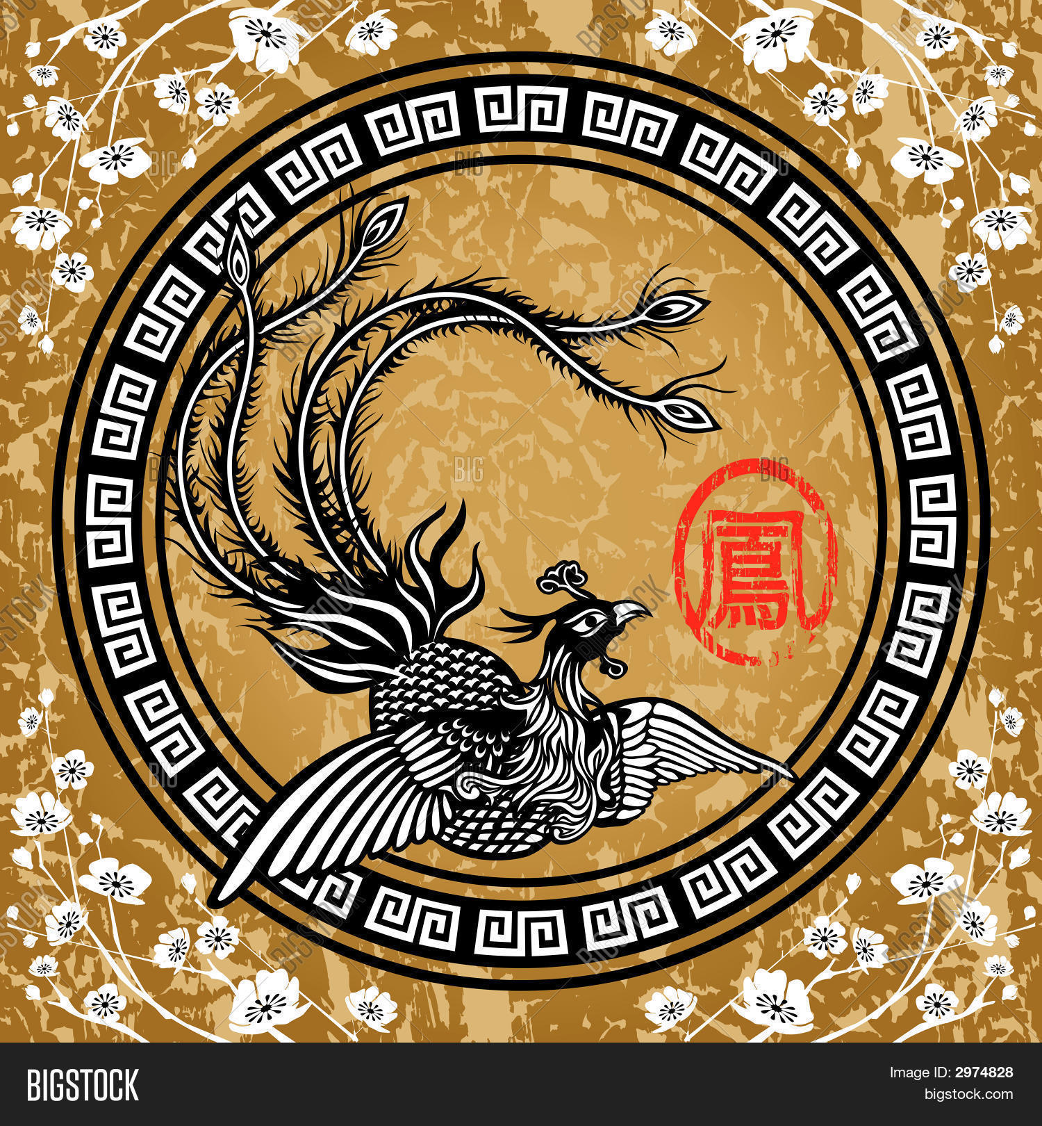 Chinese Phoenix Vector