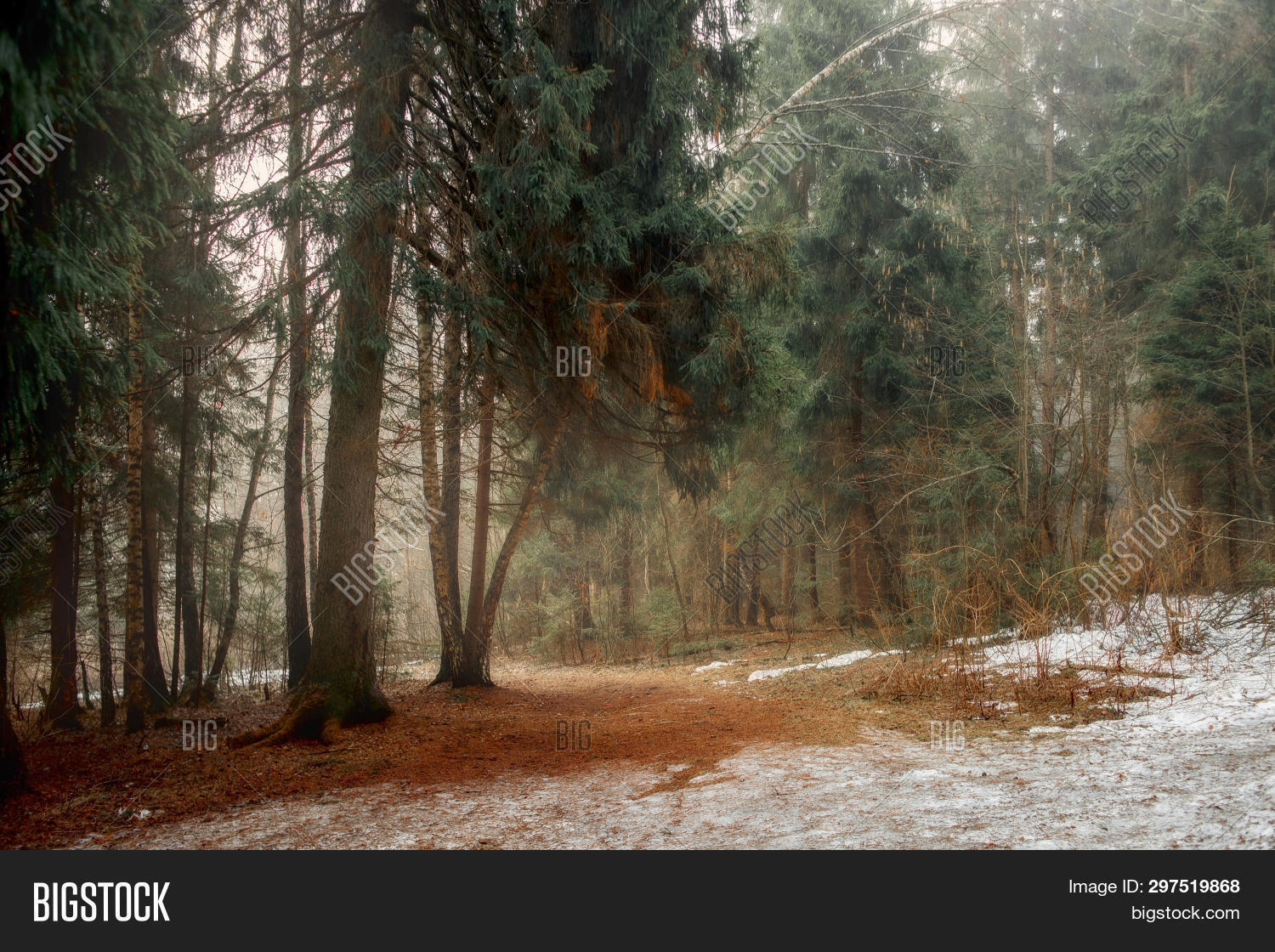 Misty Landscape Forest Image & Photo (Free Trial) | Bigstock