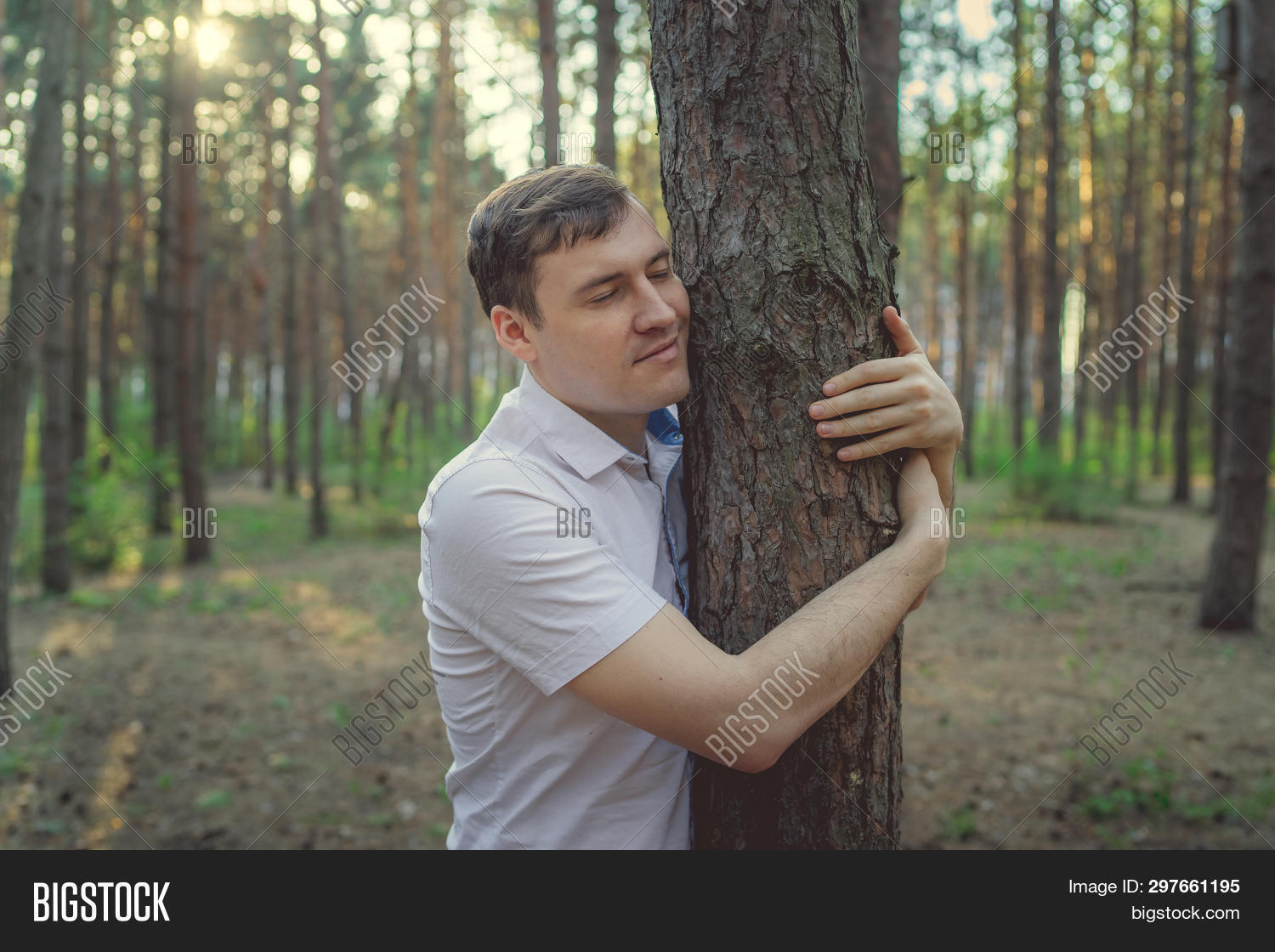 Man Hugging Tree Image & Photo (Free Trial) | Bigstock