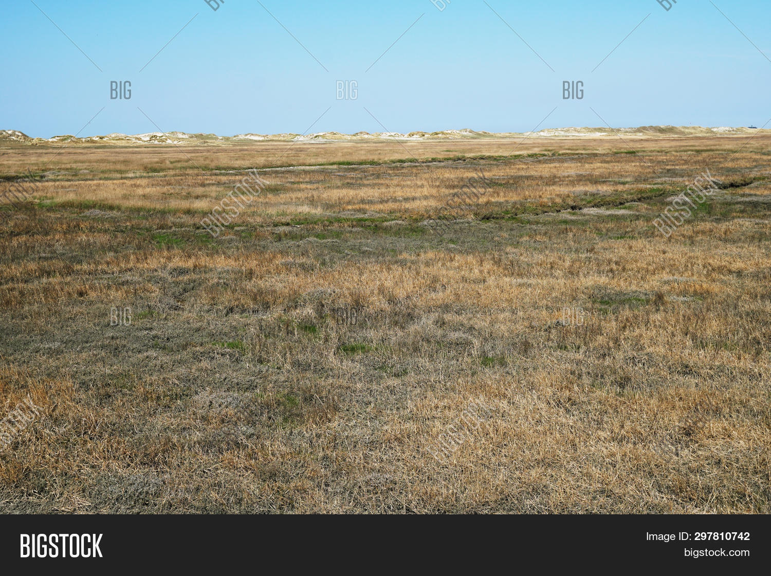 Salt Marsh Sand Dunes Image & Photo (Free Trial) | Bigstock