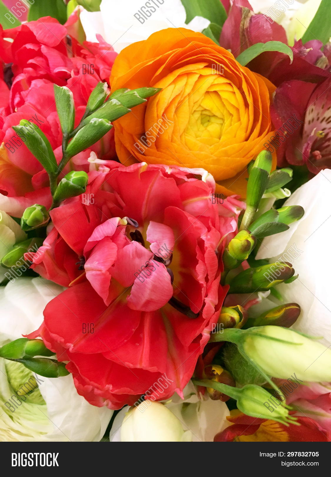 Bouquet Spring Flowers Image & Photo (Free Trial) | Bigstock