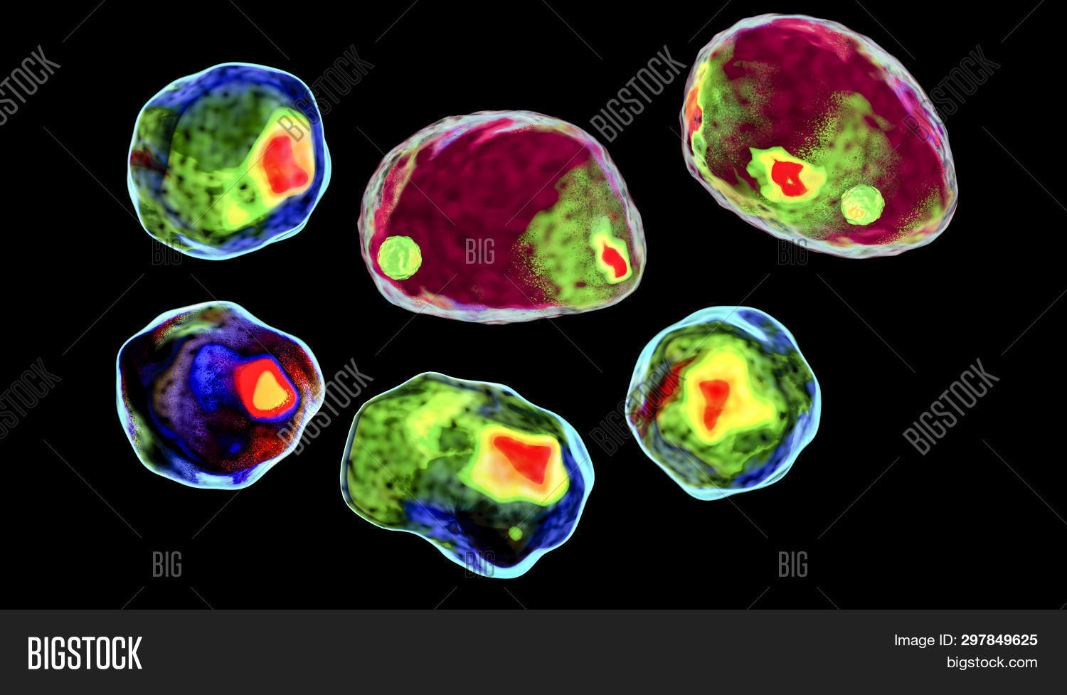 Imagen y foto Human Cell, Colored (prueba gratis) | Bigstock