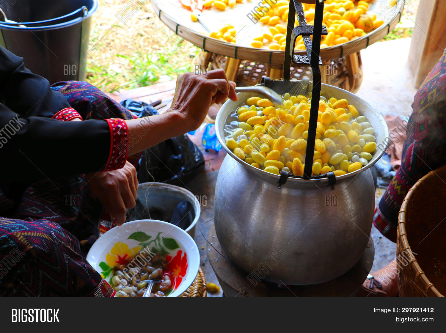 Degumming Silk Cocoon Image & Photo (Free Trial) | Bigstock