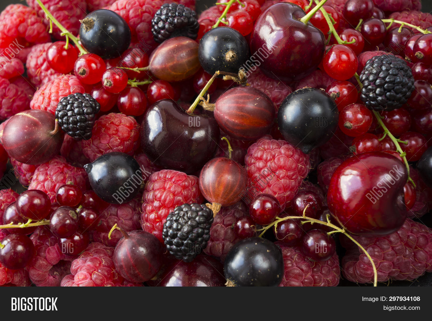 Mix Berries Fruits. Image & Photo (Free Trial) | Bigstock