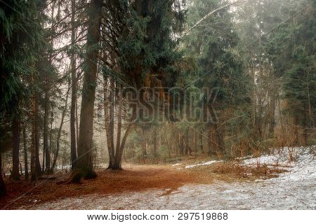 Misty Landscape Forest Image & Photo (Free Trial) | Bigstock