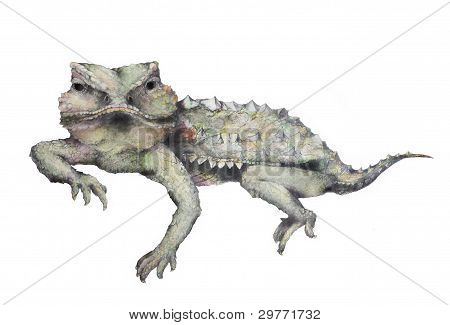 Horned Toad Images, Illustrations & Vectors (Free) - Bigstock
