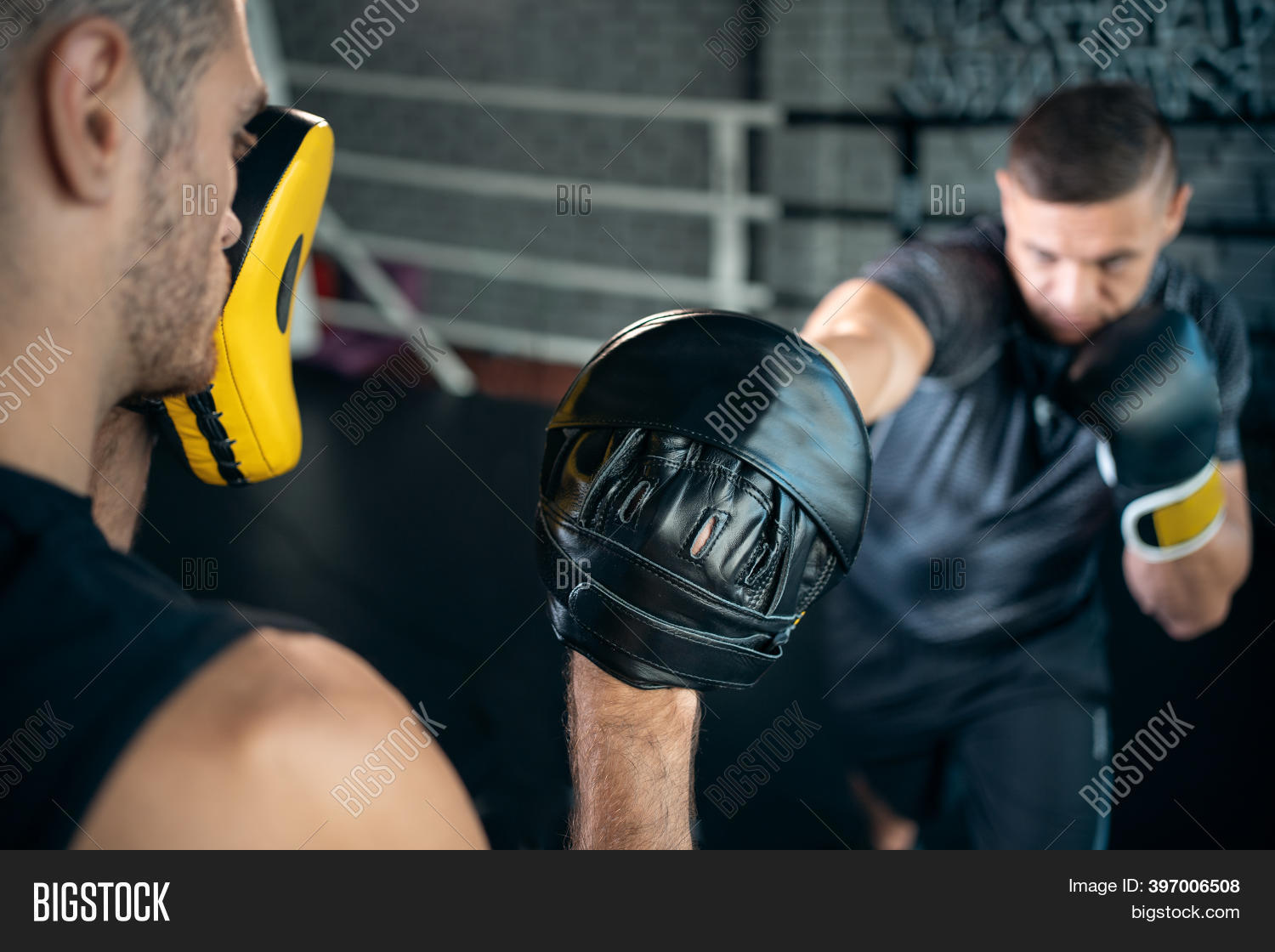 Two Muscle Boxers Image & Photo (Free Trial) | Bigstock