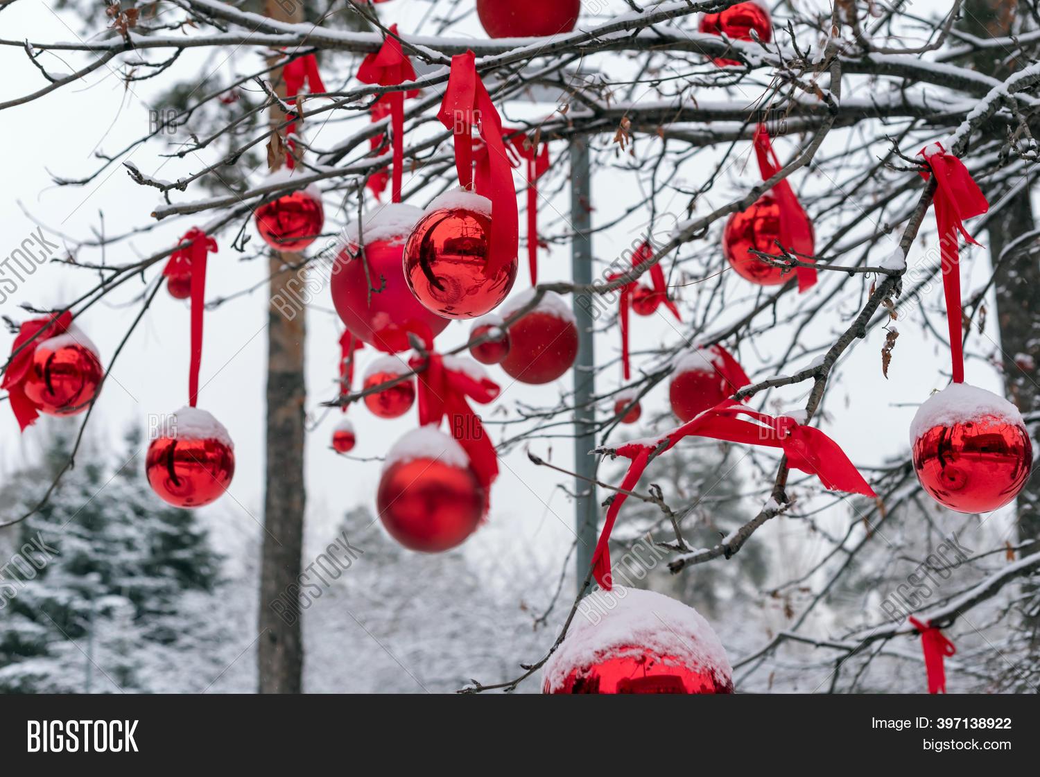 Red Balls On Branches Image & Photo (Free Trial) | Bigstock