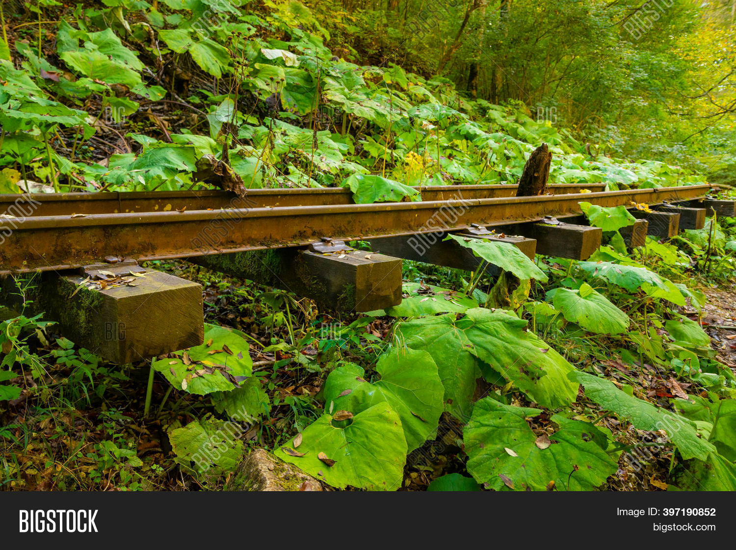 Railroad Tracks Washed Image & Photo (Free Trial) | Bigstock