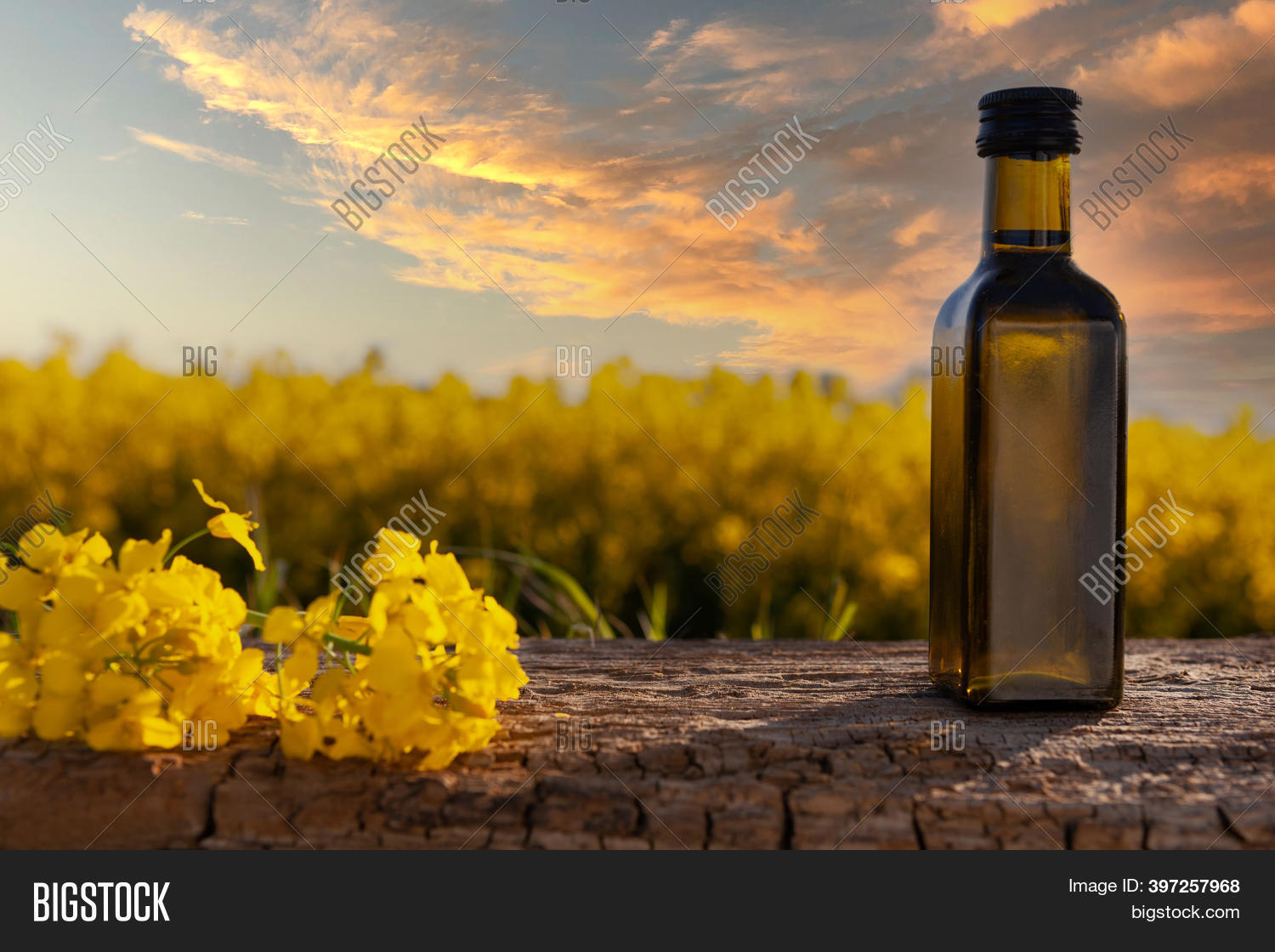 Rapeseed Oil Bottles Image & Photo (Free Trial) | Bigstock
