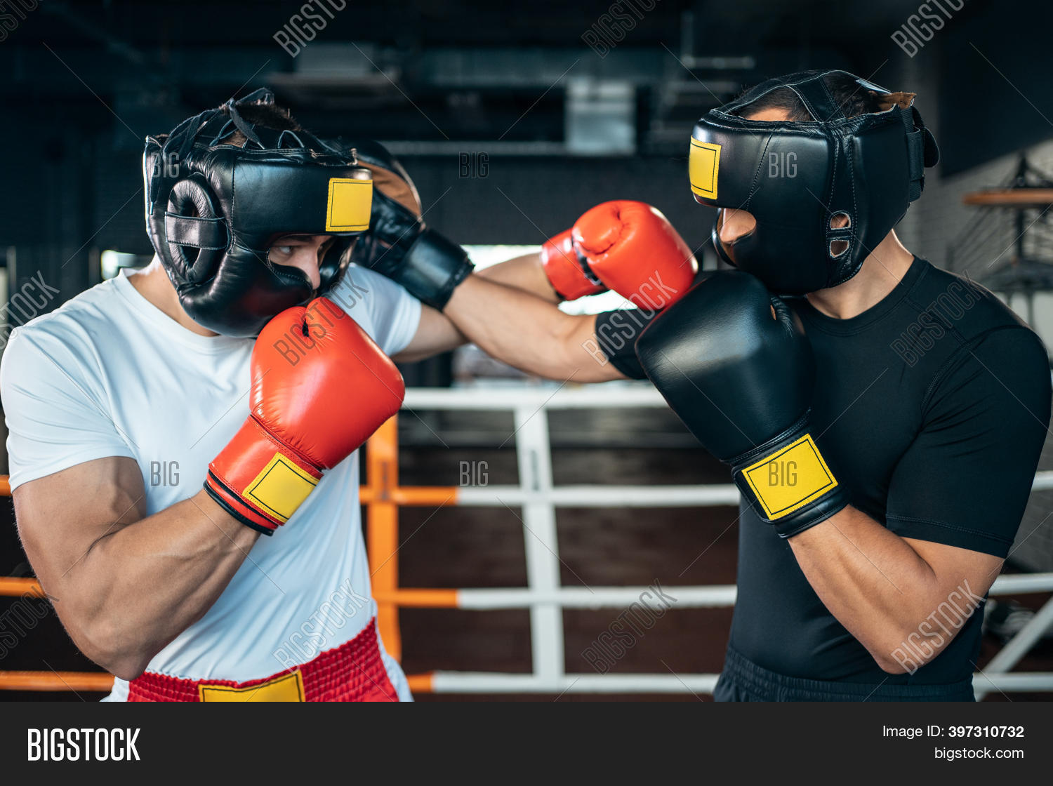 Two Muscle Boxers Image & Photo (Free Trial) | Bigstock