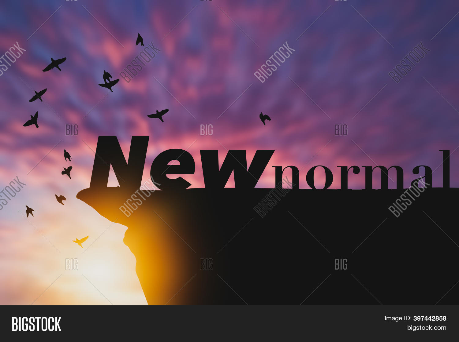 New Normal Words Birds Image & Photo (Free Trial) | Bigstock