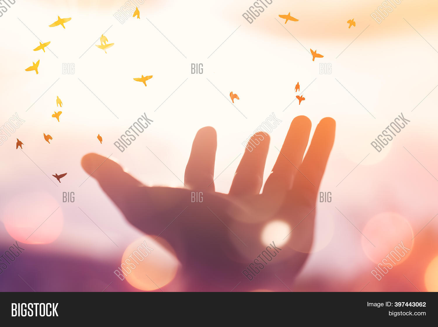 Man Raise Open Hand Image & Photo (Free Trial) | Bigstock