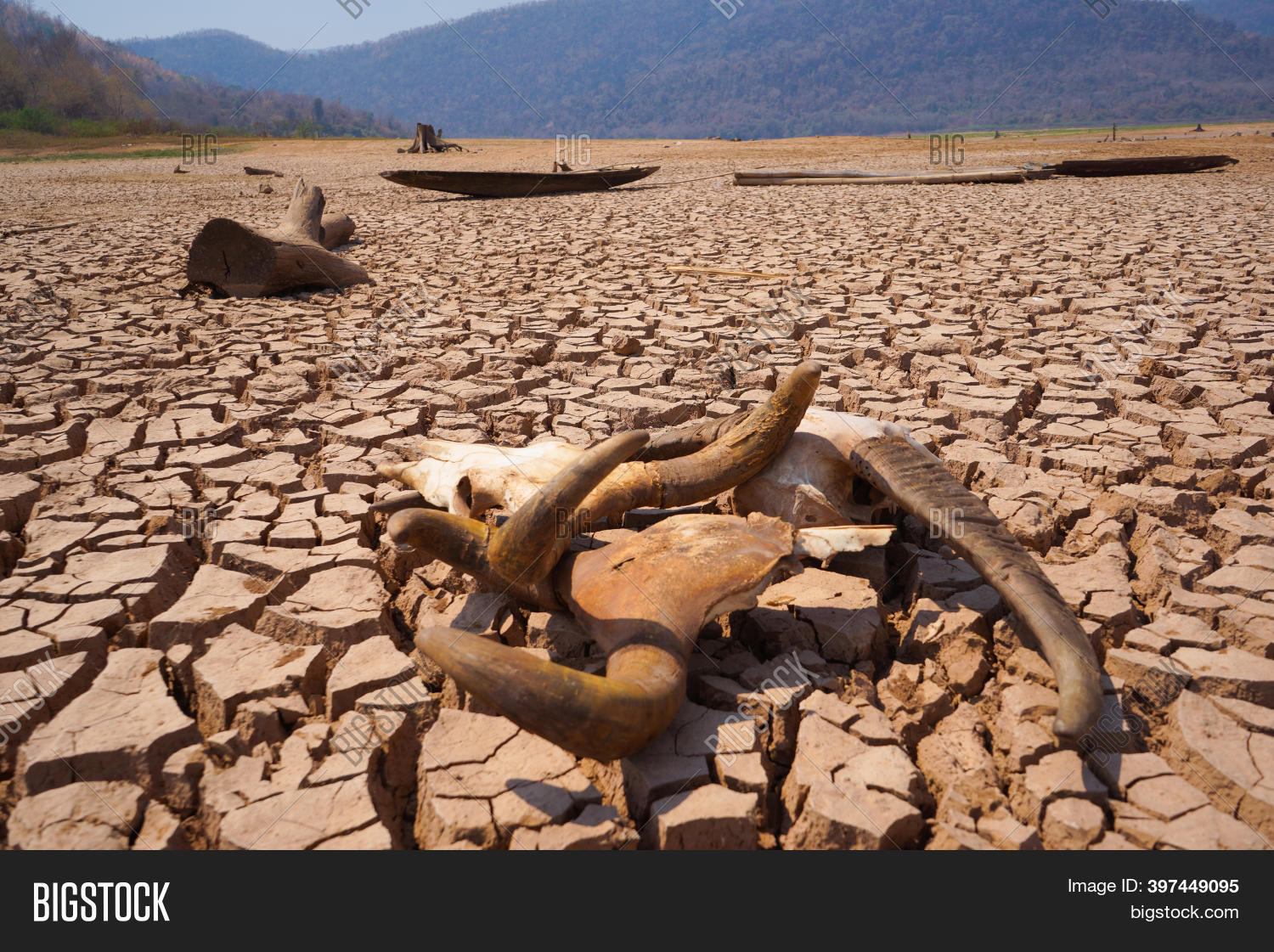 Drought Land Texture Image & Photo (Free Trial) | Bigstock