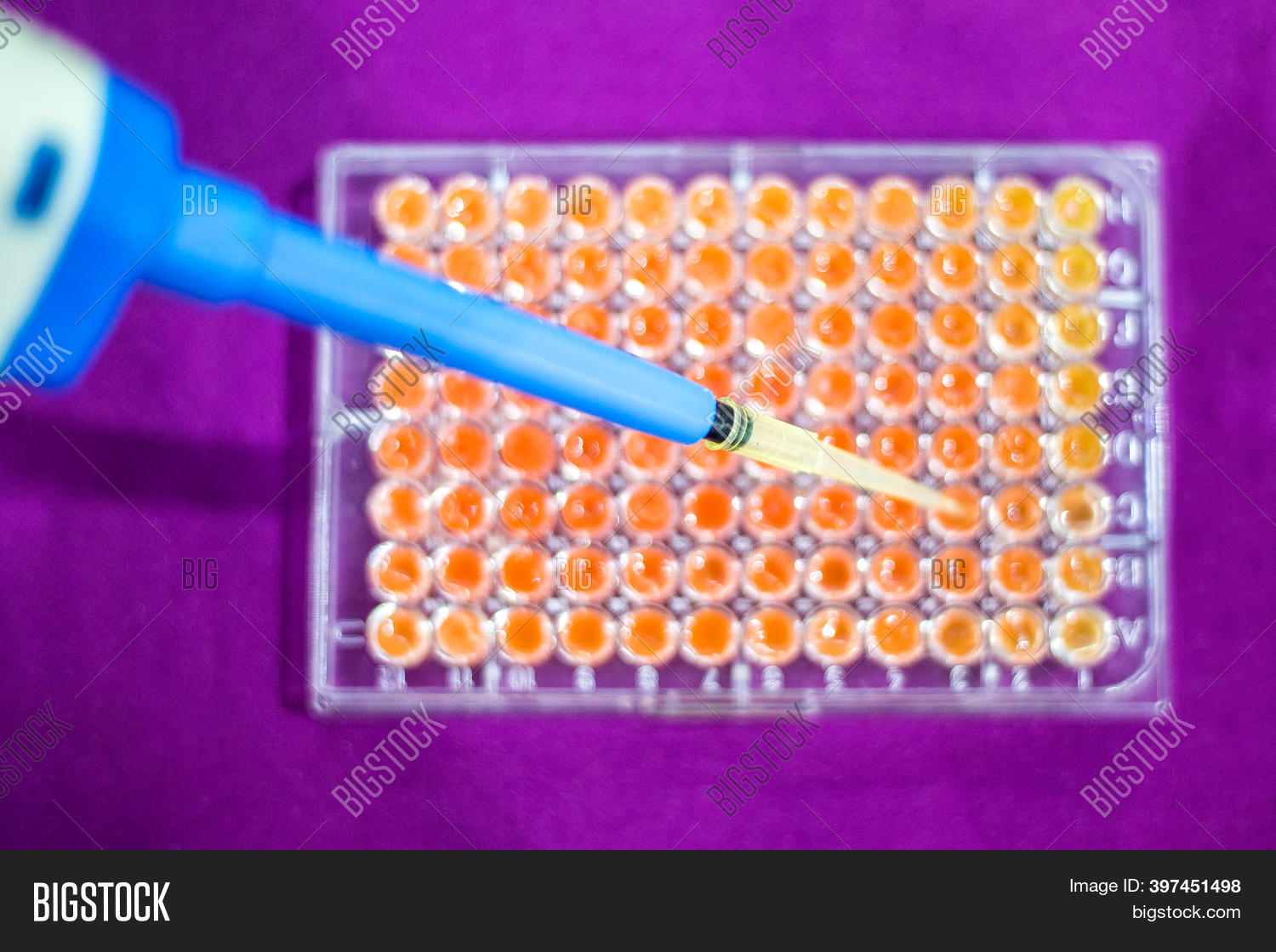 Pcr Well Plate On 96 Image & Photo (Free Trial) | Bigstock