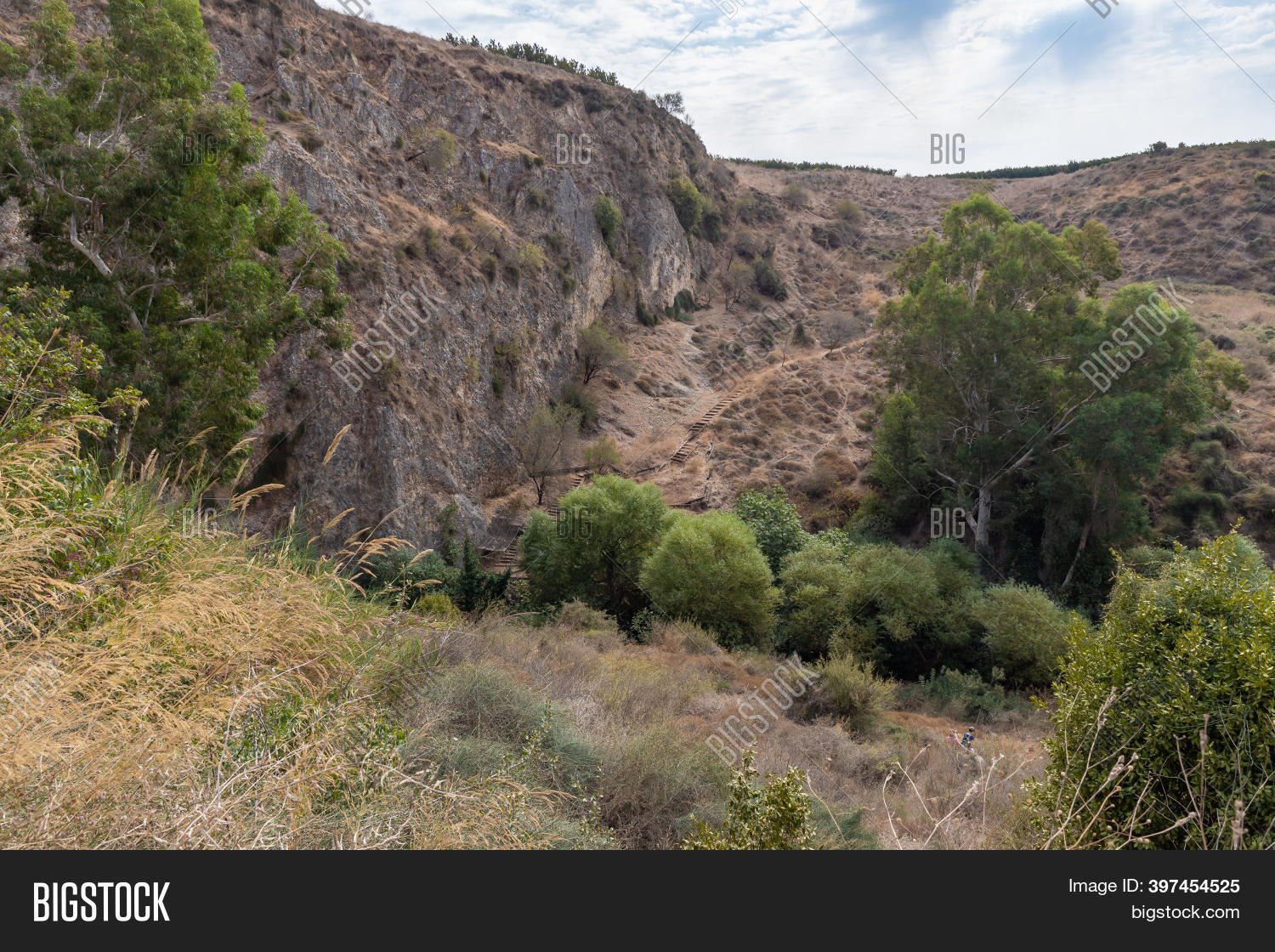 Hills Overgrown Image & Photo (Free Trial) | Bigstock