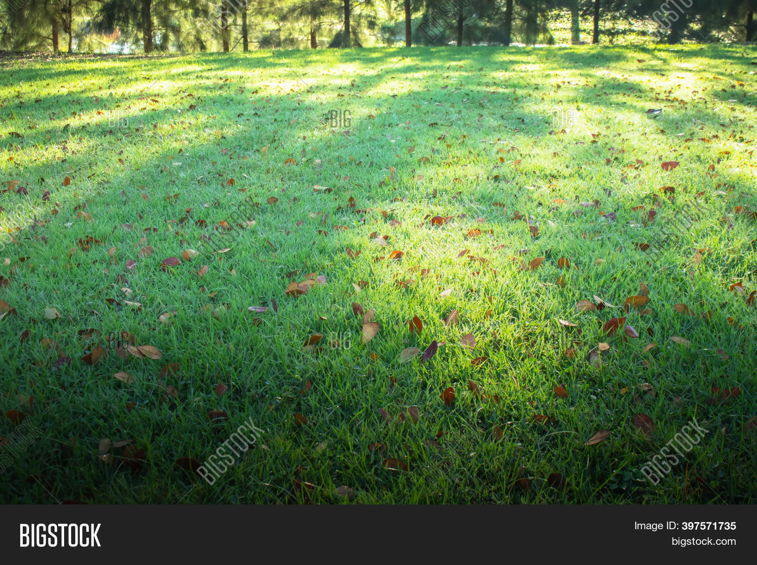 Green Natural View Image & Photo (Free Trial) | Bigstock