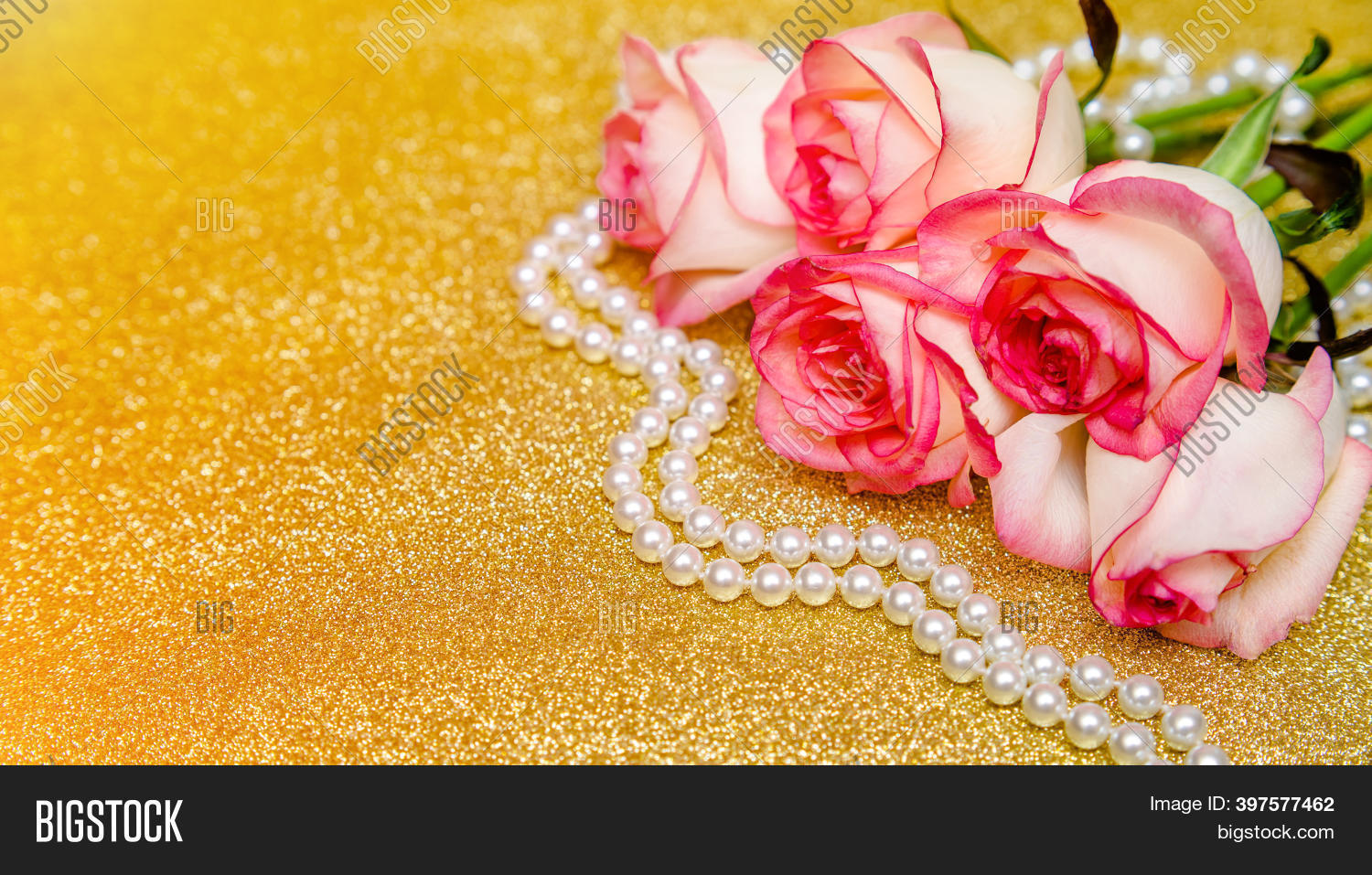 Pink Rose Pearl Image & Photo (Free Trial) | Bigstock