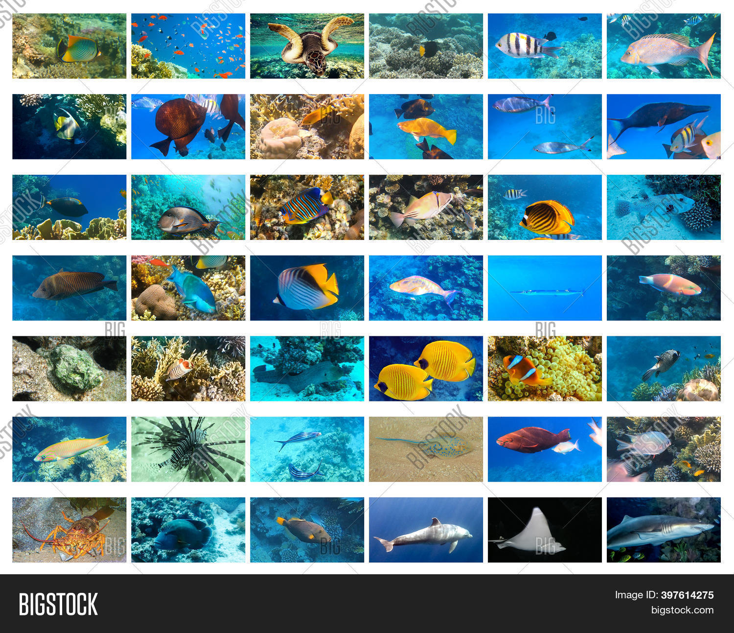 Underwater Atlas Image & Photo (Free Trial) | Bigstock