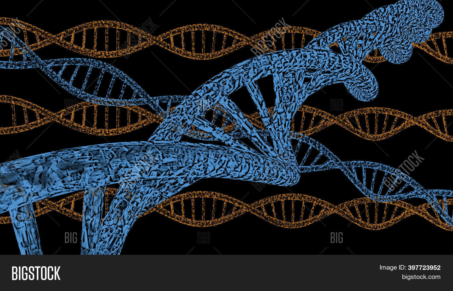 Abstract Dna Strand Image & Photo (Free Trial) | Bigstock