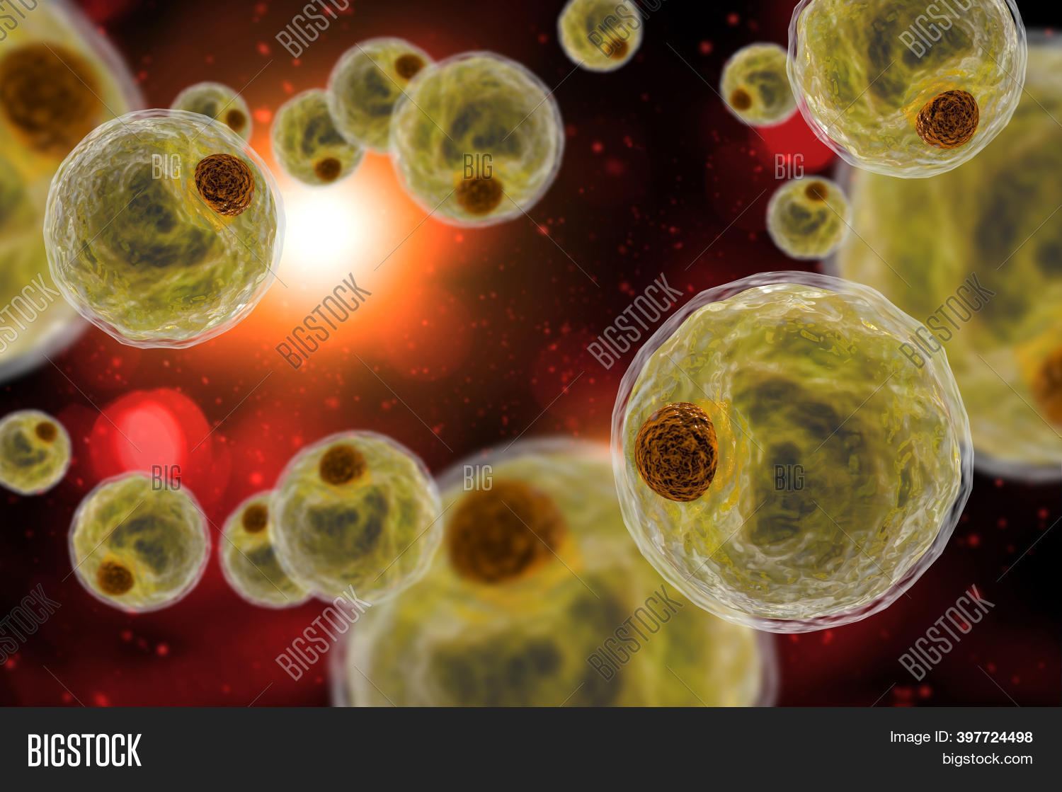 Healthy White Human Image & Photo (Free Trial) | Bigstock