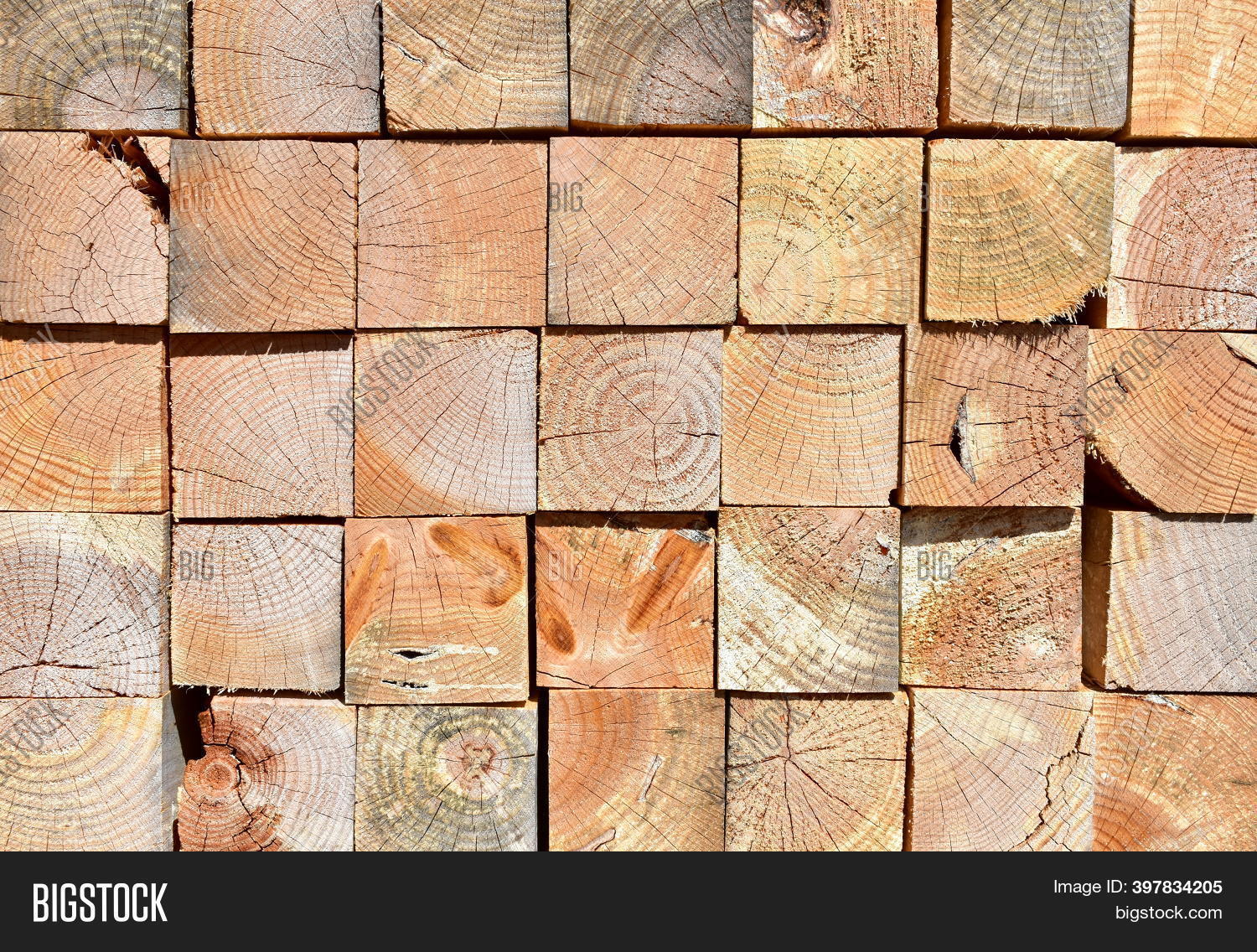 Pine Tree Cut Wood Image & Photo (Free Trial) | Bigstock