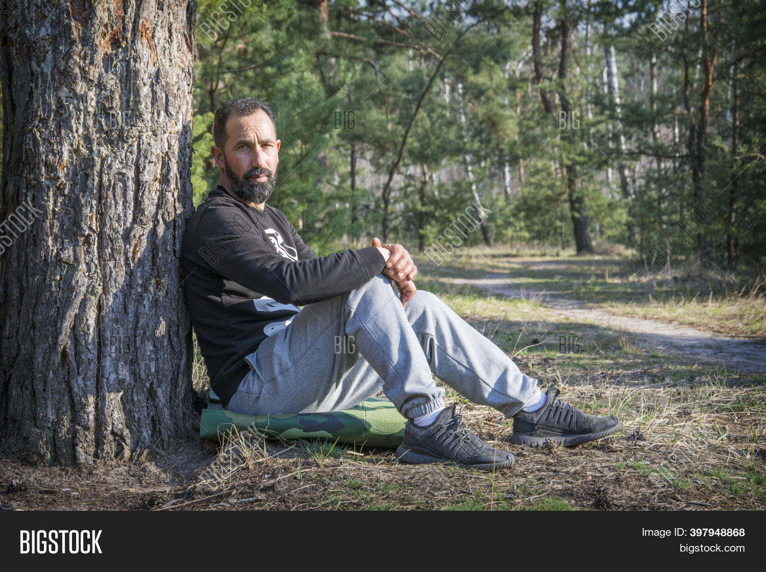 Spring Forest On Image & Photo (Free Trial) | Bigstock
