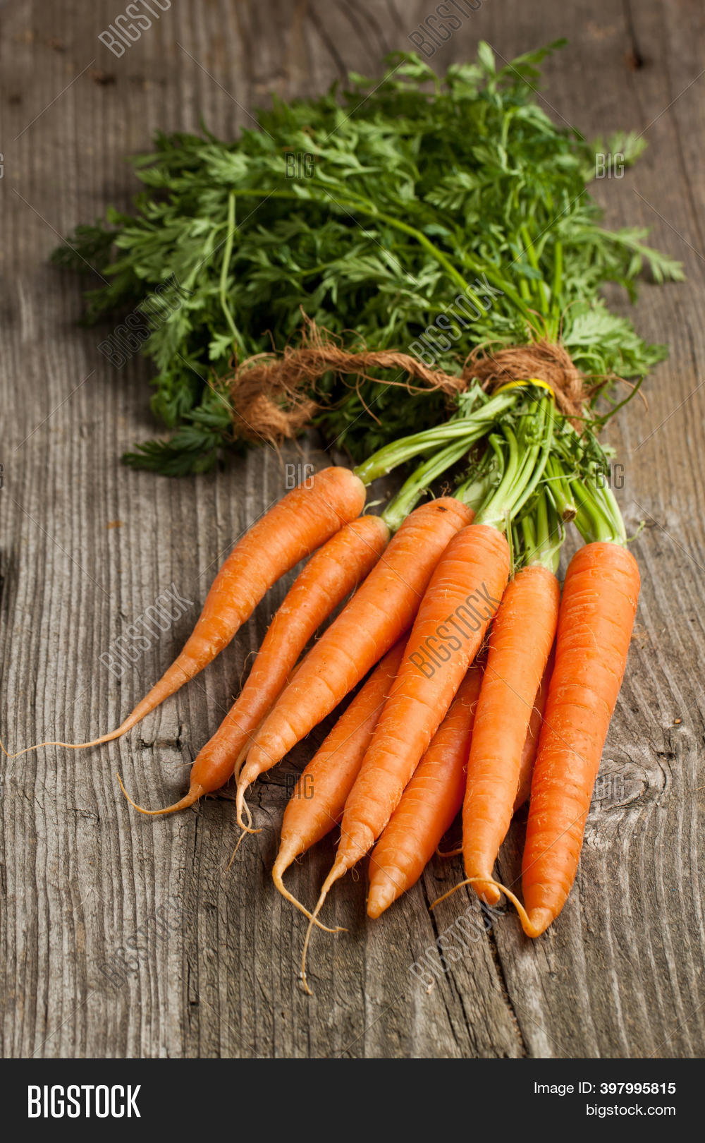 Fresh Carrots Bunch On Image & Photo (Free Trial) | Bigstock