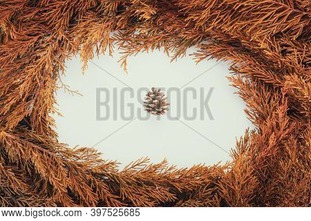 Circle Frame Pine Tree Image & Photo (Free Trial) | Bigstock