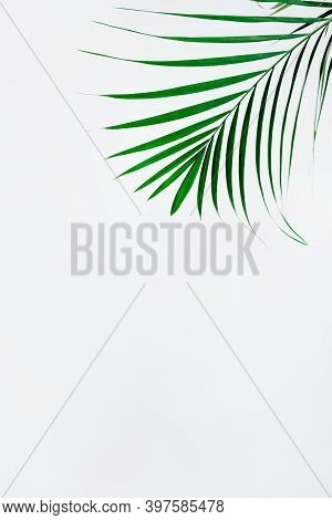 Minimal Natural Image & Photo (Free Trial) | Bigstock