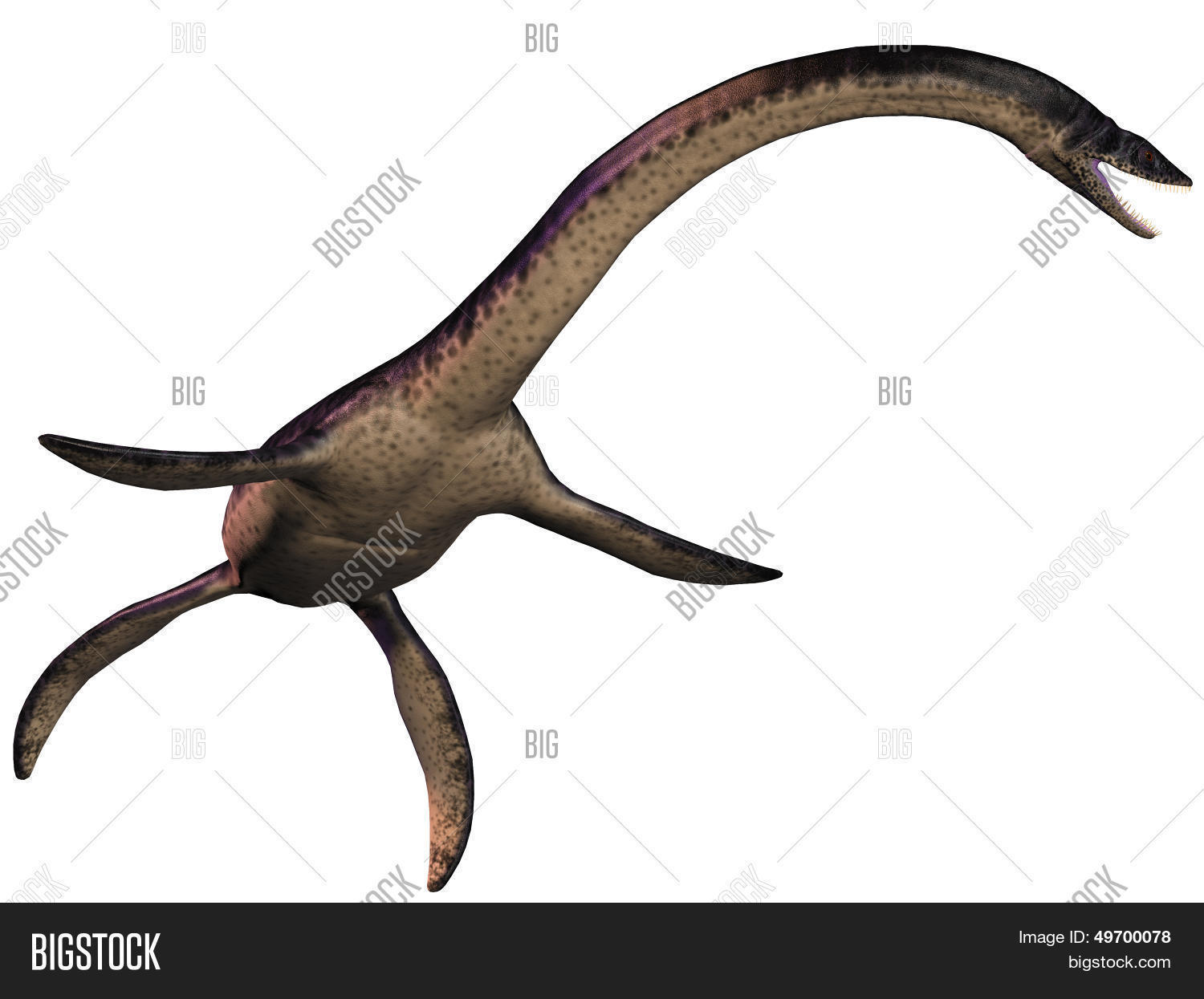 Plesiosaurus On White Image & Photo (Free Trial) | Bigstock