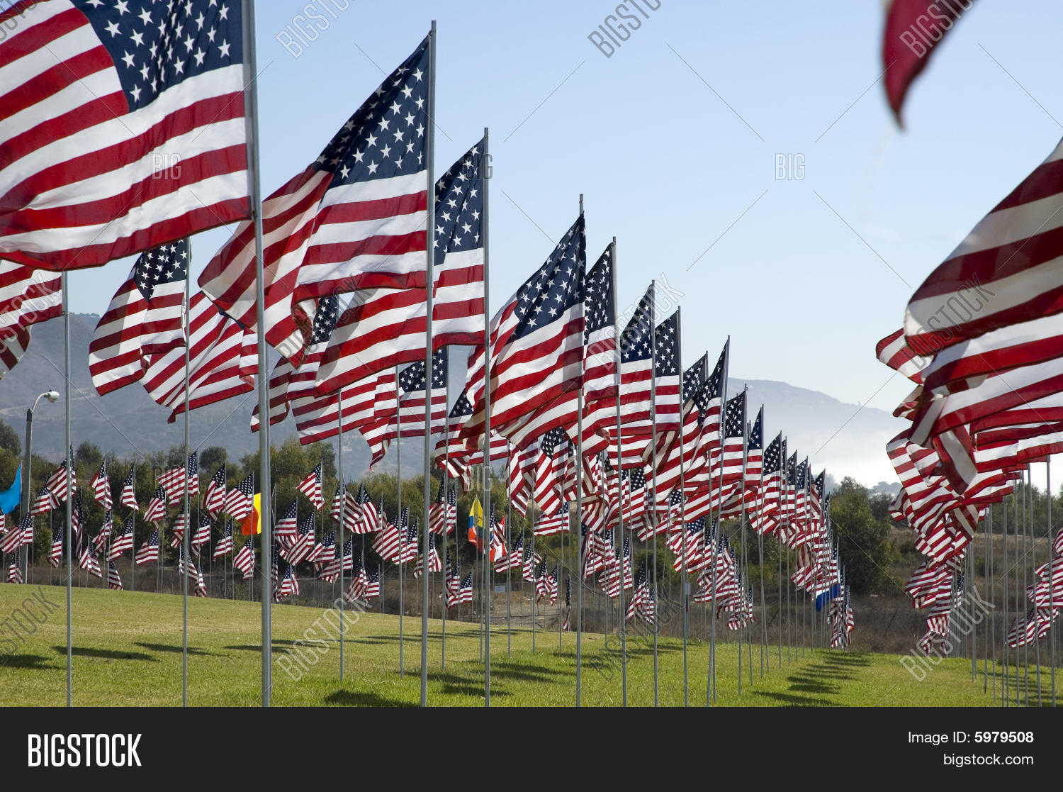 Rows Flags Image & Photo (Free Trial) | Bigstock