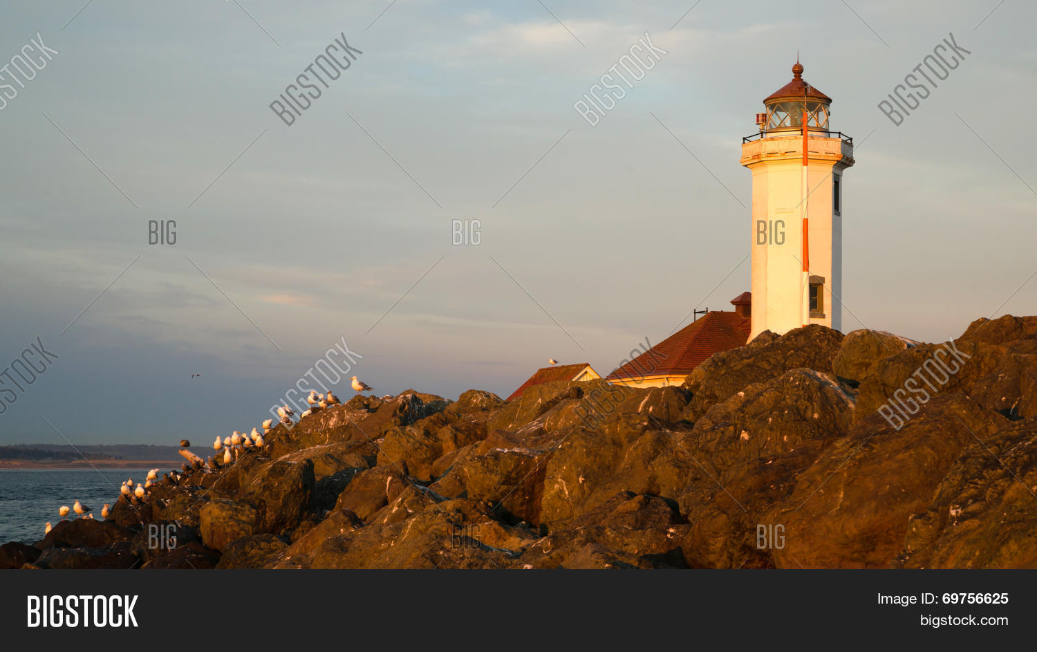 Seagulls Rest Image & Photo (Free Trial) | Bigstock