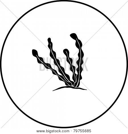 Seaweed Symbol Vector & Photo (Free Trial) | Bigstock