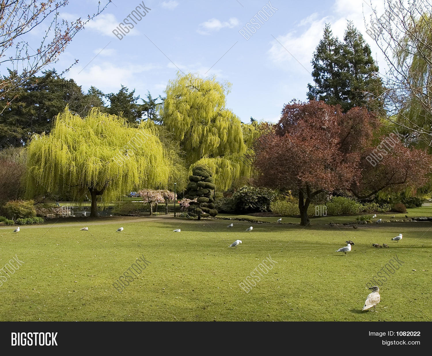 Spring Park Image & Photo (Free Trial) | Bigstock