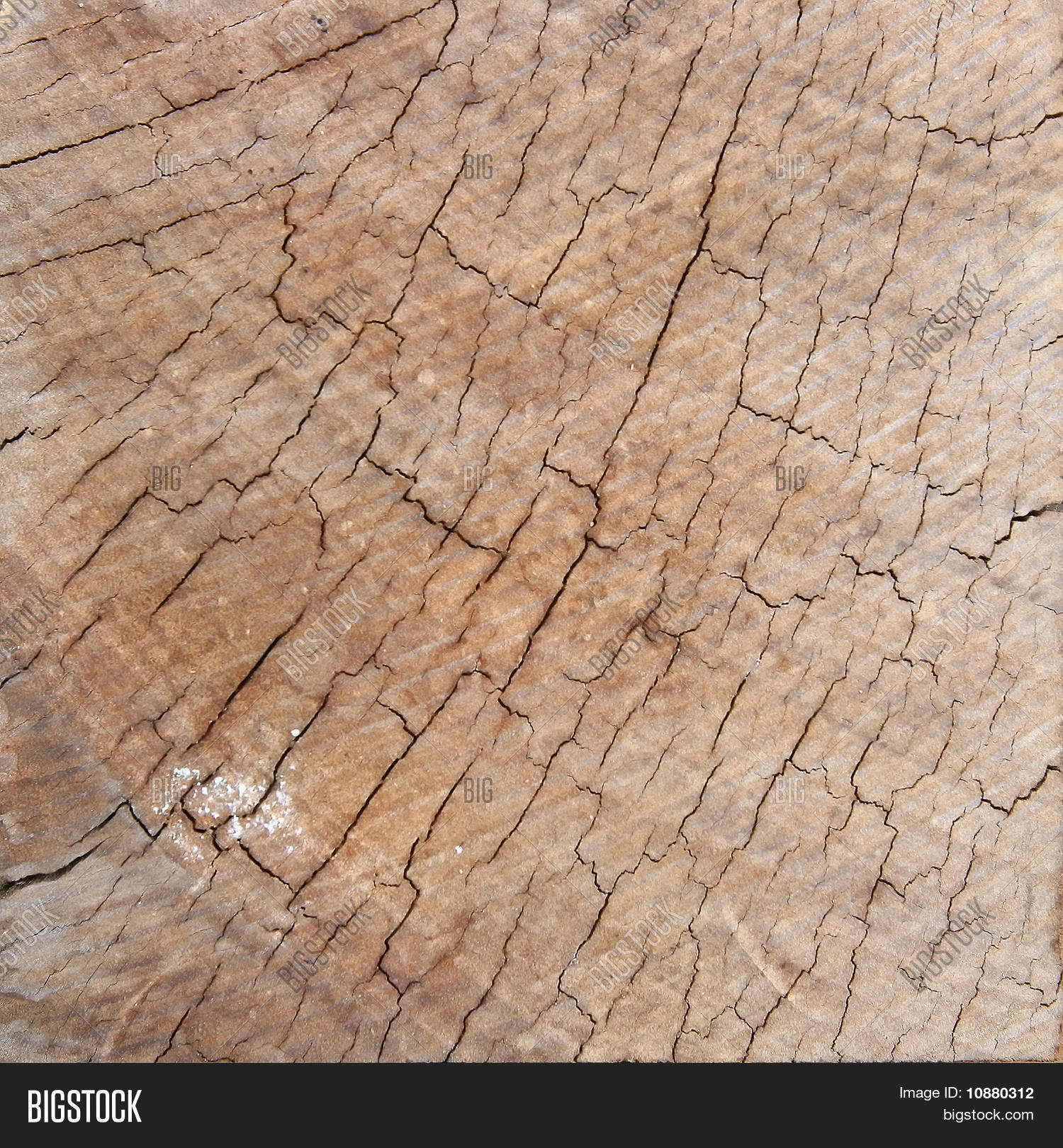 Crack Wood Texture Image & Photo (Free Trial) | Bigstock