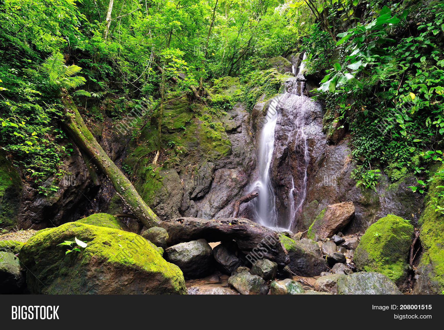Colombia Wild Darien Image & Photo (Free Trial) | Bigstock