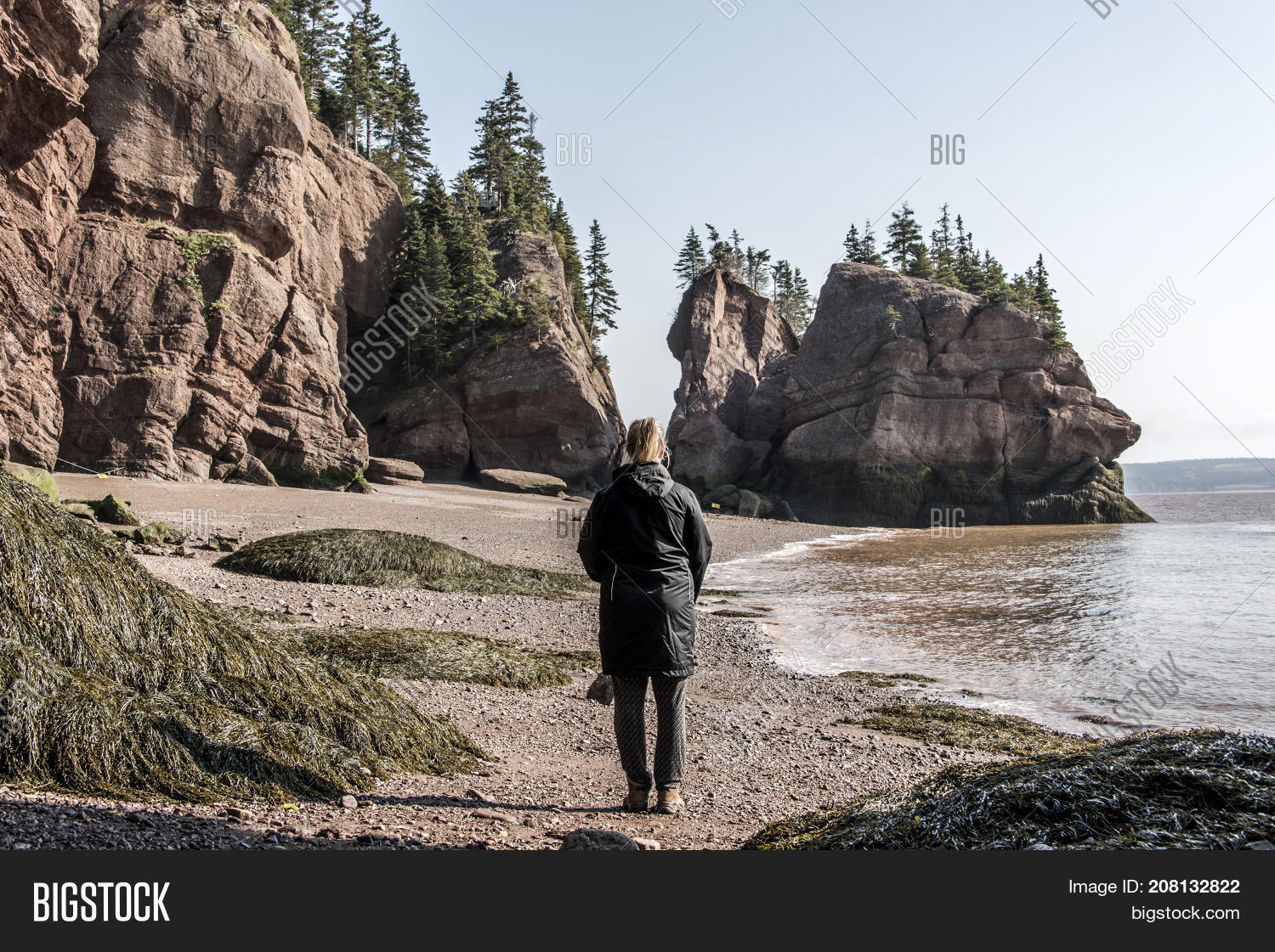 Famous Hopewell Rocks Image & Photo (Free Trial) | Bigstock