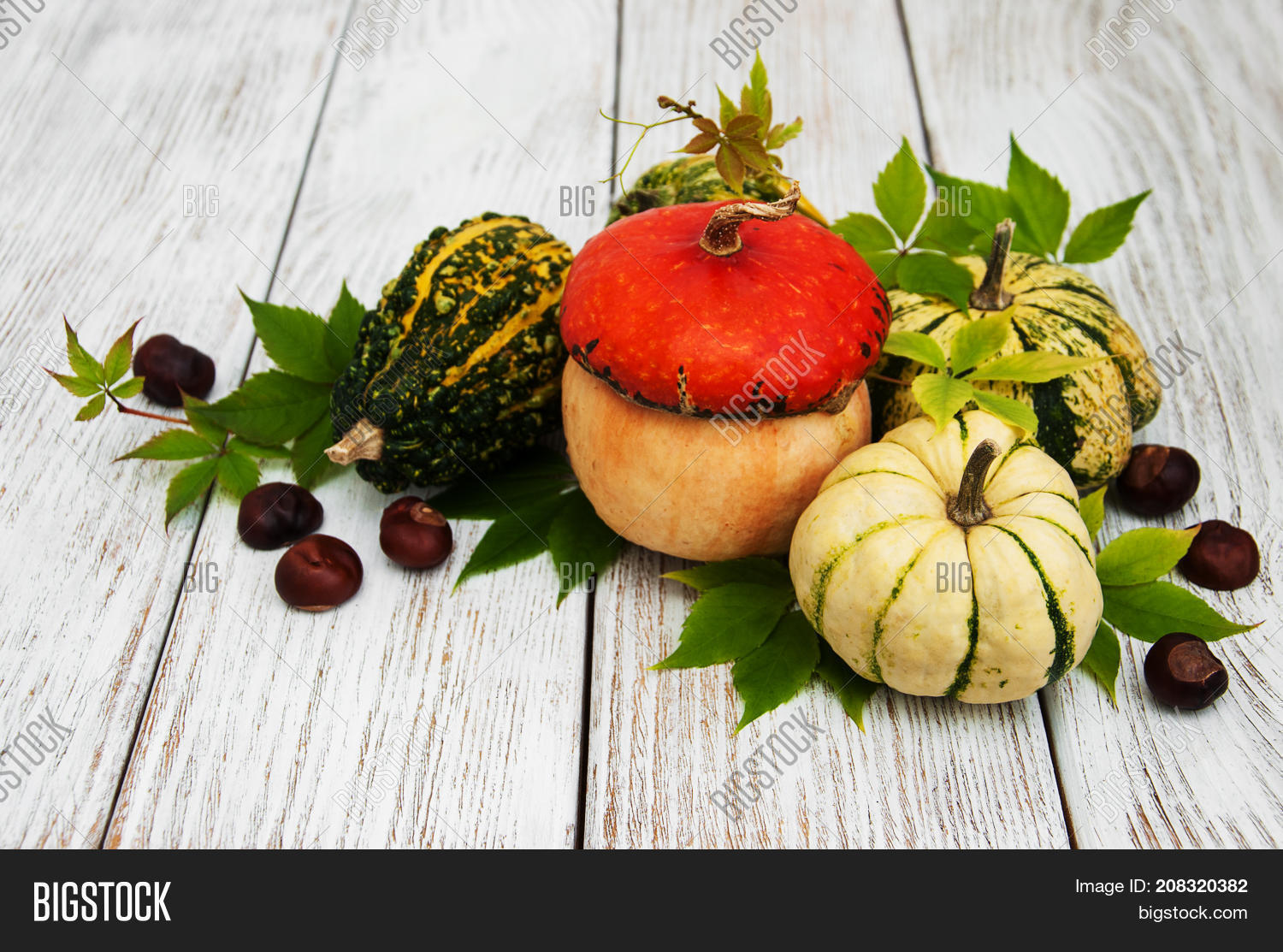 Pumpkins Autumn Leaves Image & Photo (Free Trial) | Bigstock