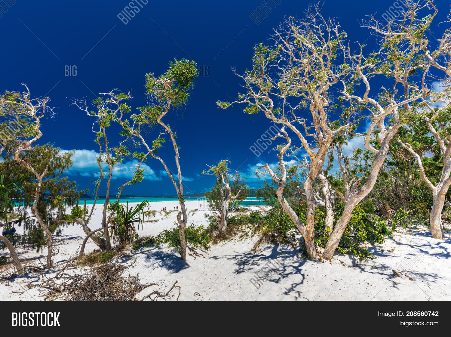 Amazing Whitehaven Image & Photo (Free Trial) | Bigstock