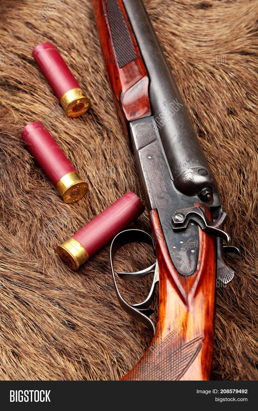 Hunting Retro Shotgun Image & Photo (Free Trial) | Bigstock