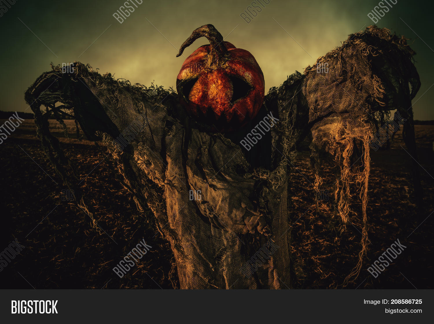 Halloween Legend. Image & Photo (Free Trial) | Bigstock