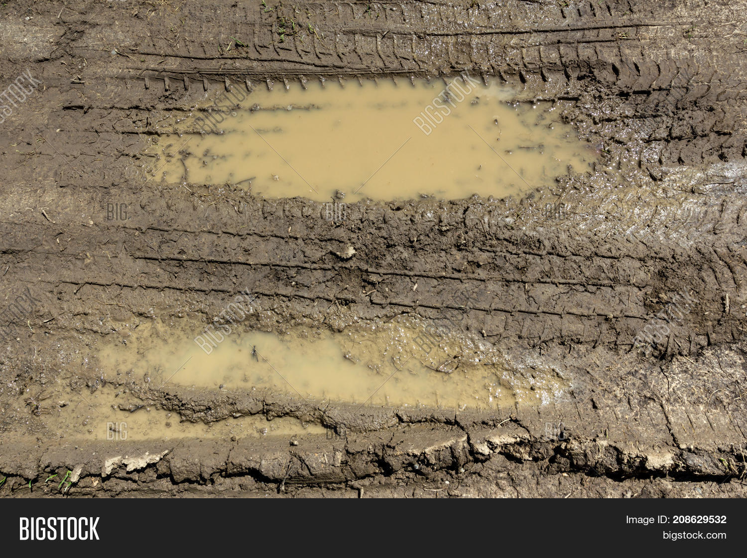 Texture Mud. Wet Dirt Image & Photo (Free Trial) | Bigstock