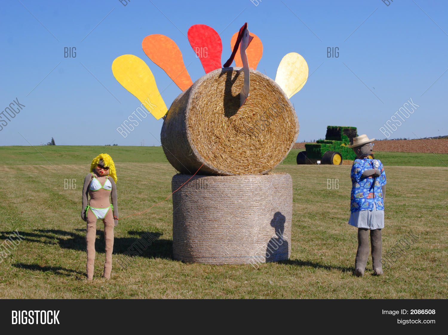 Hay Bale Turkey Image & Photo (Free Trial) | Bigstock