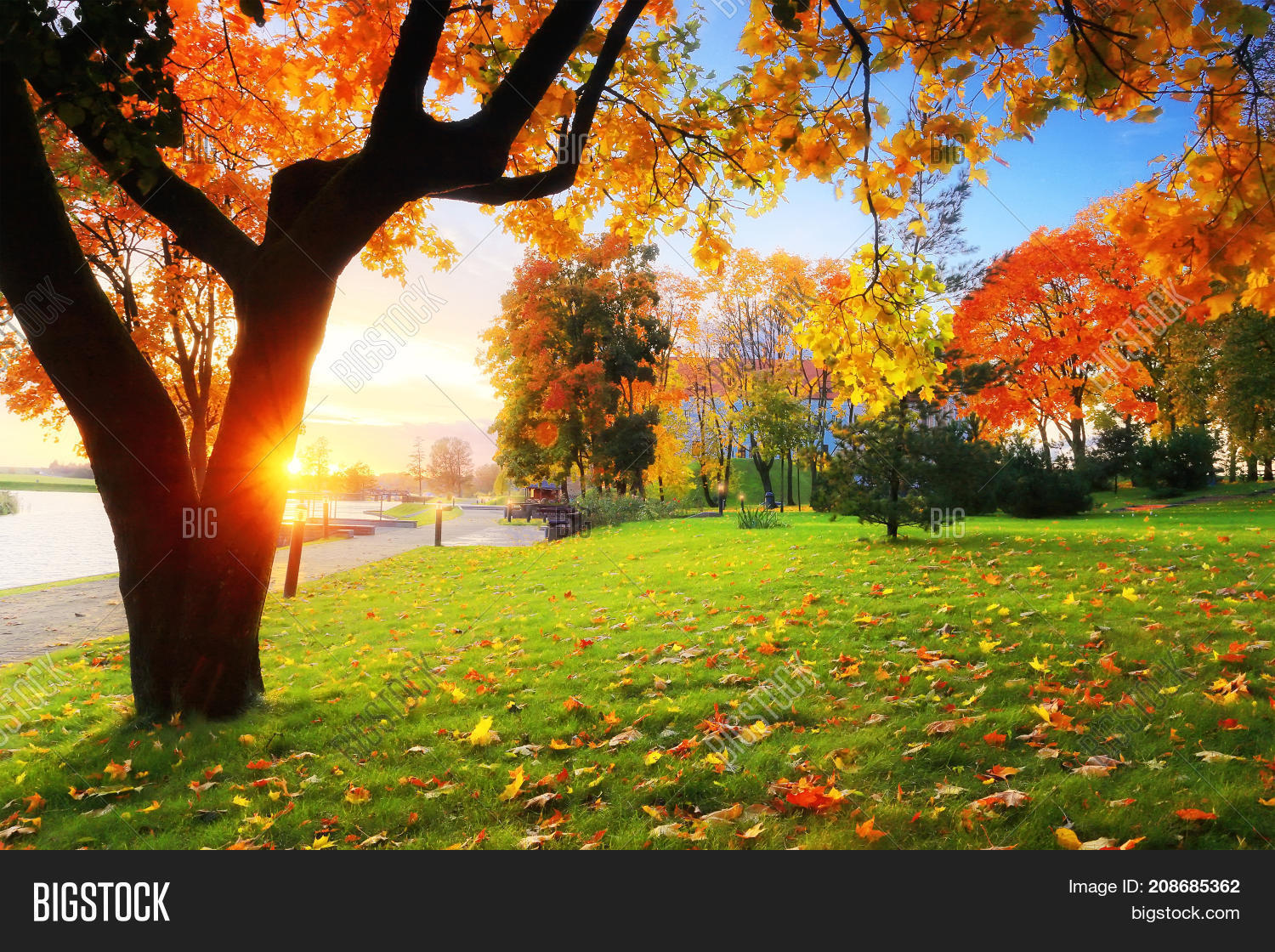 Autumn. Fall Scene. Image & Photo (Free Trial) | Bigstock