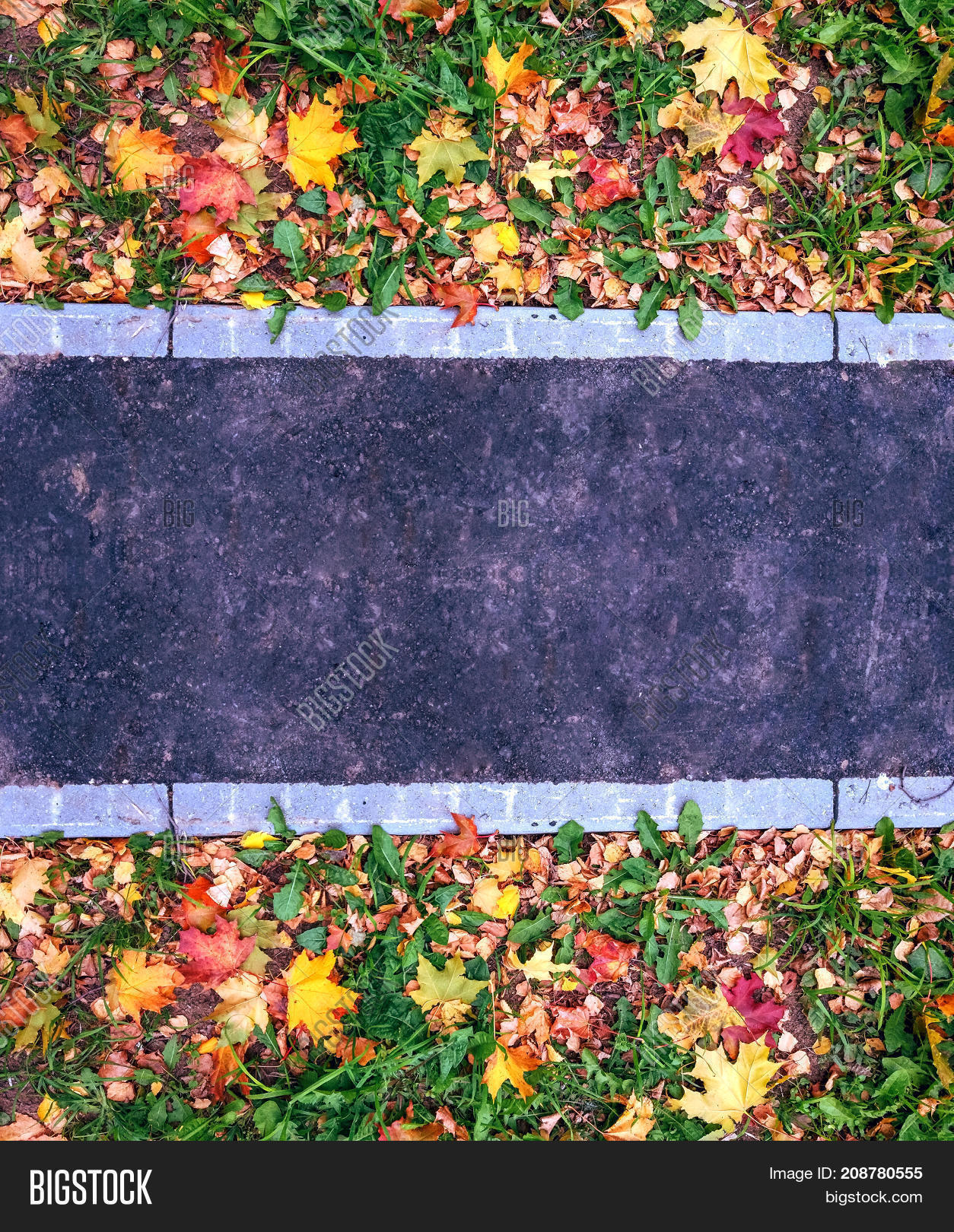Curb On Road Fall City Image & Photo (Free Trial) | Bigstock